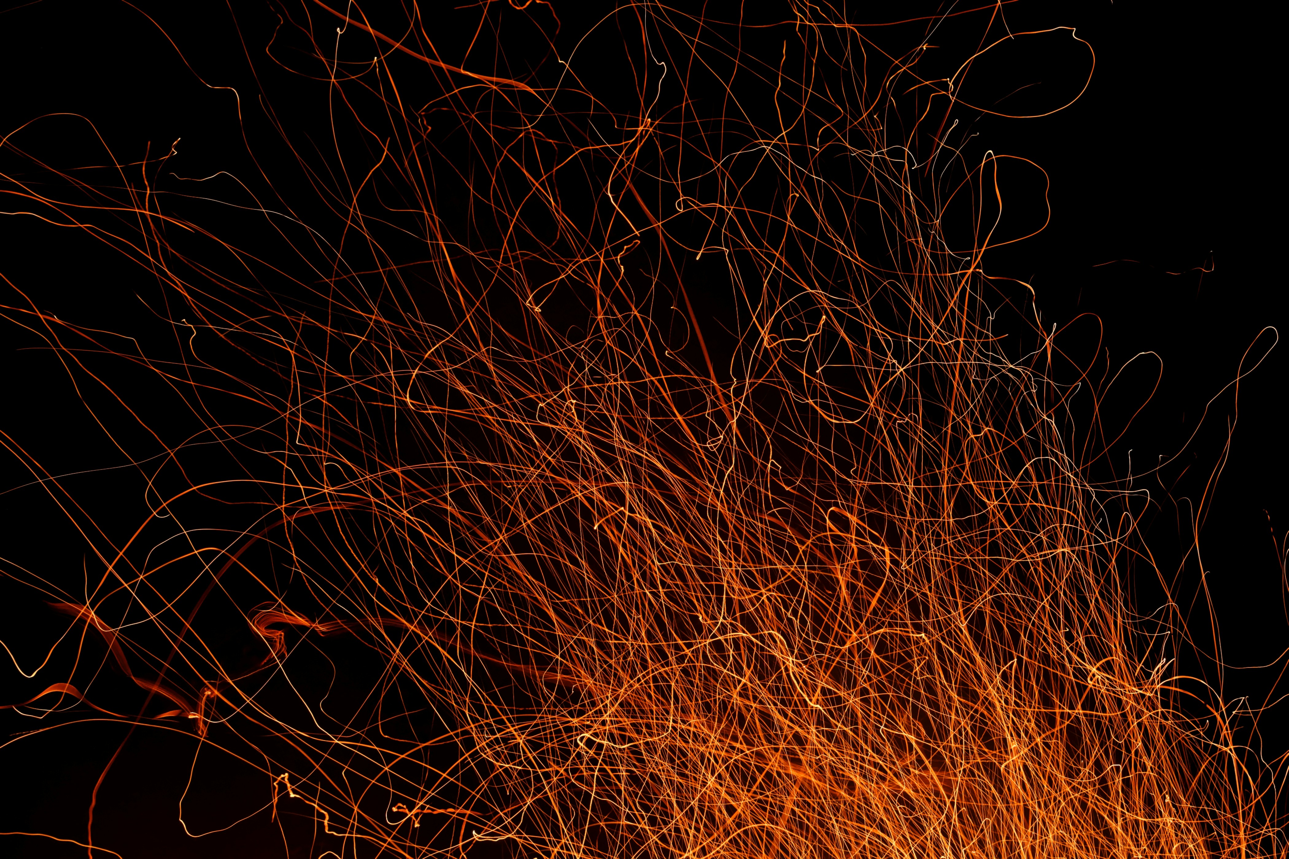 Spanish Words To Say To Your Grandparents: Science...